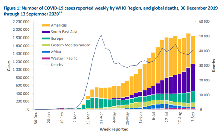 Information on Current International Infectious Disease Situation ...